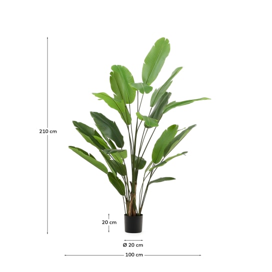 Artificial Banana plant in black pot 210 cm | Kave Home